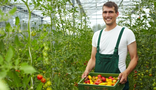 開心農場！ FarmLogs 讓農業進入 app 時代 | T客邦