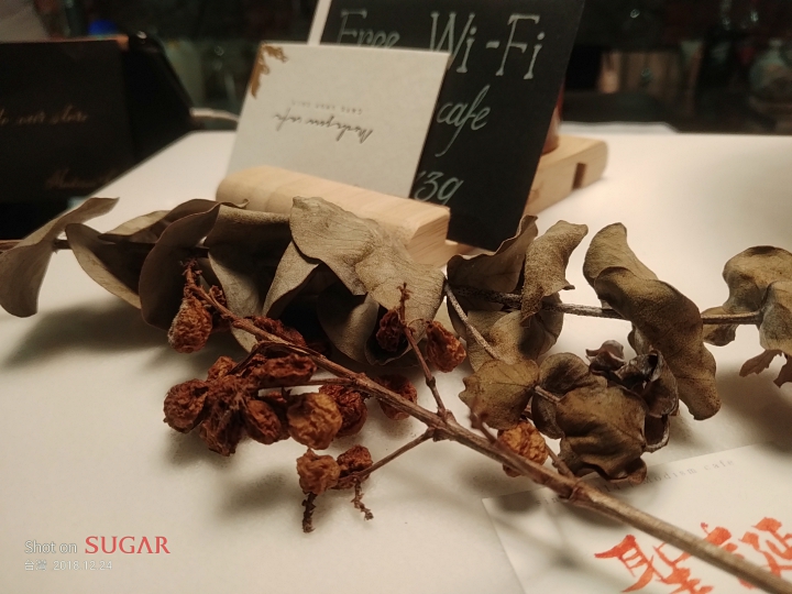 從隨行秘書升級隨身翻譯，SUGAR S20 讓旅者一機當多機用、環遊世界都上手 | T客邦