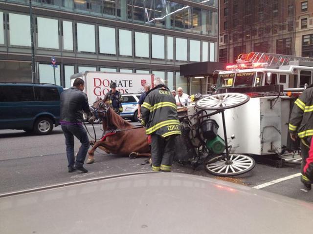 Horsey Horseless馬頭車設計是誰想出來的？為何它流行不起來呢？ | T客邦